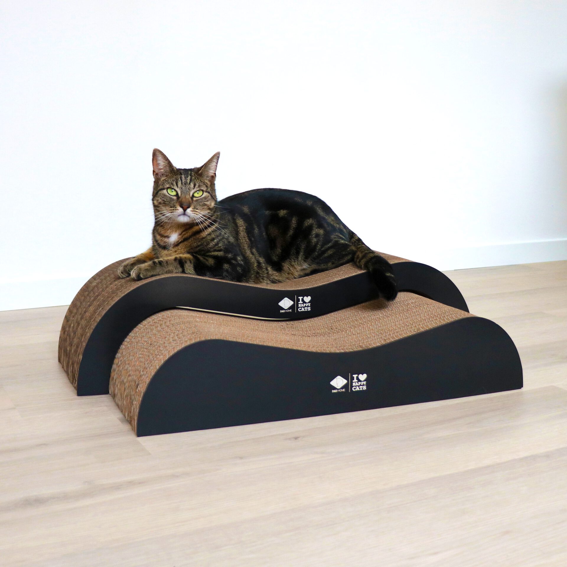 D&D Home | I Love Happy Cats collaboration - ebi - Lifestyle for Pets